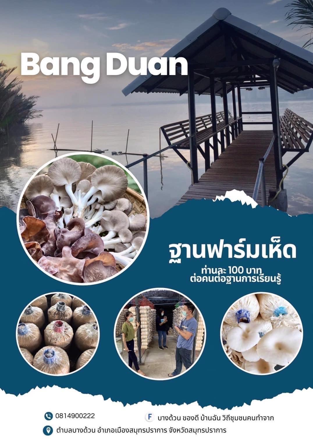 Lasunya studio & cafeได้เป็นหนึ่งใน highlight ชุมชน Lasunya